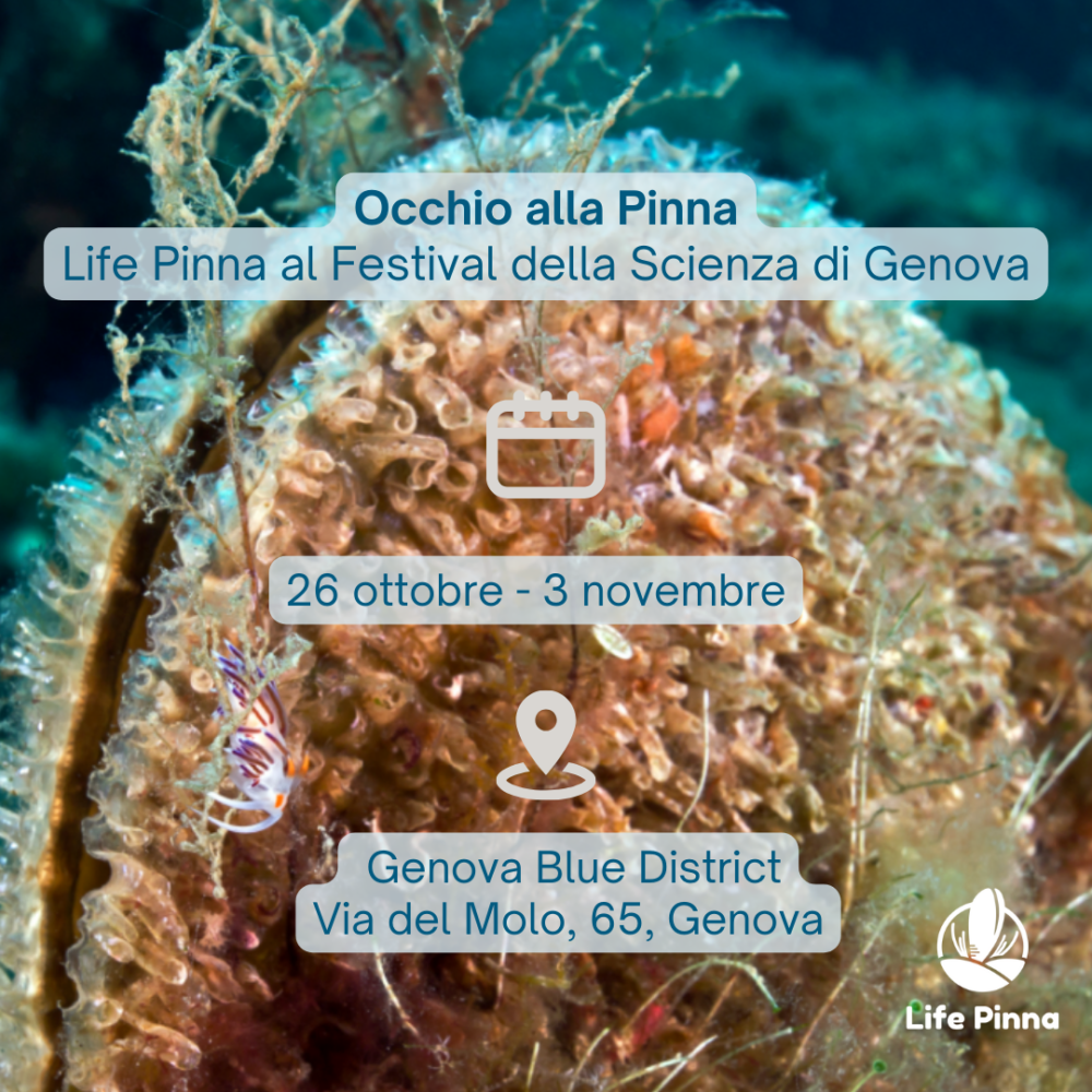 LIFE PINNA at the Science Festival - LIFE Pinna